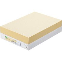 【イージャパンモール】【返品・交換・キャンセル不可】 必ず2通目のメールをご確認ください。 ※本商品は熨斗・包装（ラッピング）はお承り出来ない商品となります。※商品はご注文（ご決済）後、2-5営業日で発送（土・日・祝日除く）となります。※配...