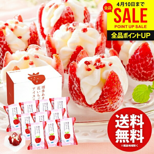 手渡し用二重包装は対応出来ません。※メーカーからの出荷連絡が当店に入り次第、発送確認のメールを送信いたしますため、商品発送とメールが前後する場合がございます。予めご了承下さい。※メーカー直送品のため他商品とは別々にお買い上げ下さい。※離島地...