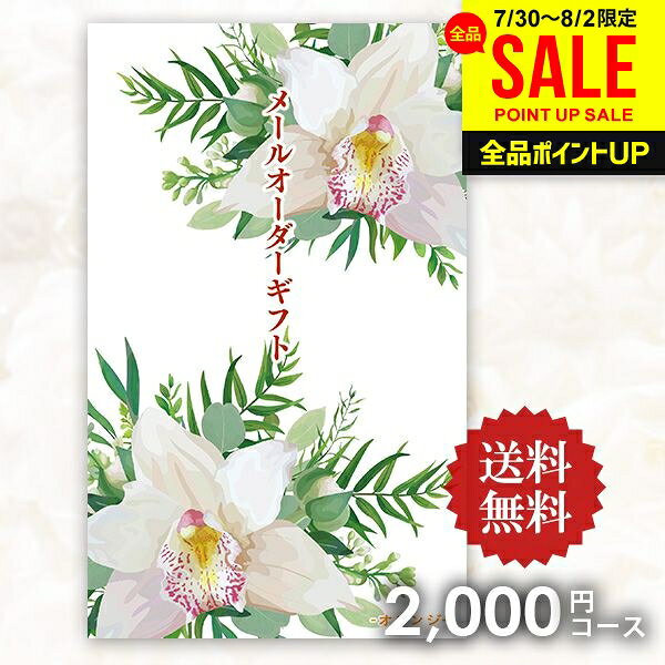 ※本商品はポスト投函便(メール便)にてお届けのため、日時指定・代金引換はご利用いただけません。また、他商品との同梱発送もお受け出来ません。※当店ののし・包装・メッセージカード等のサービスはご利用いただけません。予めご了承の上、ご注文いただき...