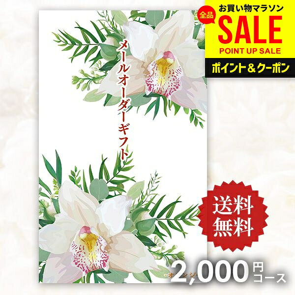※本商品はポスト投函便(メール便)にてお届けのため、日時指定・代金引換はご利用いただけません。また、他商品との同梱発送もお受け出来ません。※当店ののし・包装・メッセージカード等のサービスはご利用いただけません。予めご了承の上、ご注文いただき...