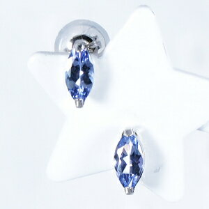 ●タンザナイト2石計約0.4カラット ●プラチナ900 ●最大幅：約6.6×3mm ●重さ：約0.5g