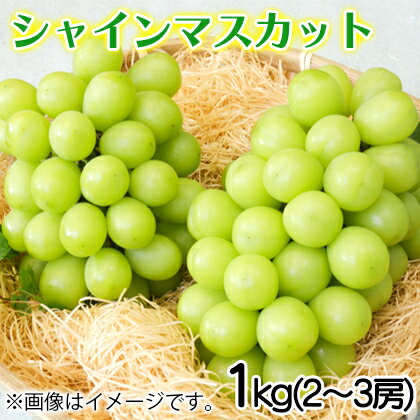 種なしで皮ごと食べられる青系葡萄【商品提供者コメント】 ●商品内容／1kg（2房～3房） ●原産地／長野県 ●名称／ぶどう 1kg（2房〜3房） 【キャンセルについて】 ●お申し込み後のキャンセルは、原則受け付けておりません。 【配送につい...