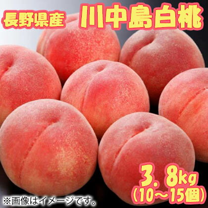 果肉は緻密でやや硬めですが甘味が強いのが特徴【商品提供者コメント】 ●商品内容／3．8kg（10個～15個） ●原産地／長野県 ●名称／もも 3．8kg（10個〜15個） 【キャンセルについて】 ●お申し込み後のキャンセルは、原則受け付けて...
