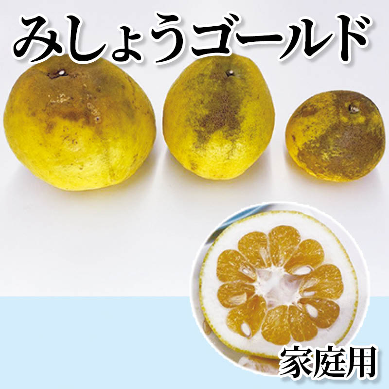 初夏から、夏にかけて、旬を迎えるみしょうゴールドは、果汁が多く、甘みもあり、とてもジューシーな柑橘です。【商品提供者コメント】 ●名称／その他柑橘類 ●商品内容／5kg(7〜20個)　 ※外観にすれ傷等がありますが、味や品質に影響はありませ...