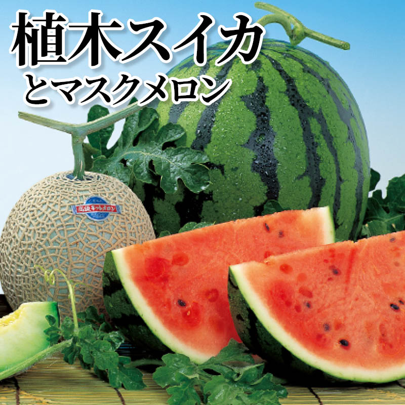 果肉ぎっしり、シャキシャキしたスイカ。大玉で、みずみずしくジューシーなメロン。5月から6月発送分のスイカはつる付きです。【商品提供者コメント】 ●名称／フルーツ詰合わせ ●商品内容／スイカ5kg、メロン1.5kg ●原産地／熊本県　●保存方...
