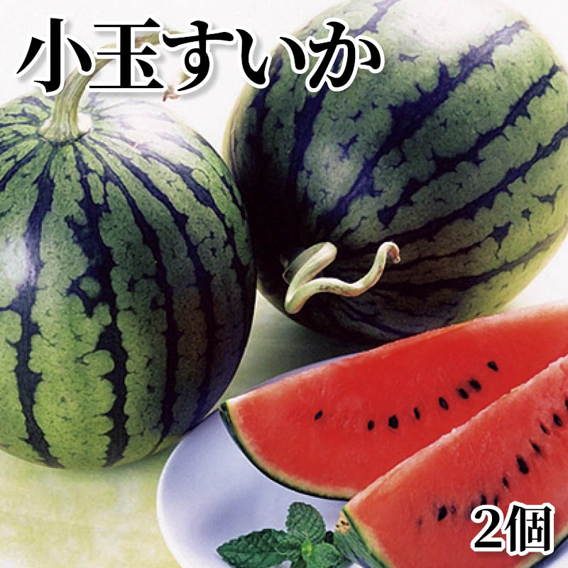 小玉すいかは食べきりサイズの大きさで甘さ充分です。【商品提供者コメント】 ●名称／スイカ ●商品内容／1.8kg×2　 ※果皮は緑または黒になります。色は商品提供者にお任せください。 ●原産地／熊本県　●保存方法／●製造者名(加工業者名)／...