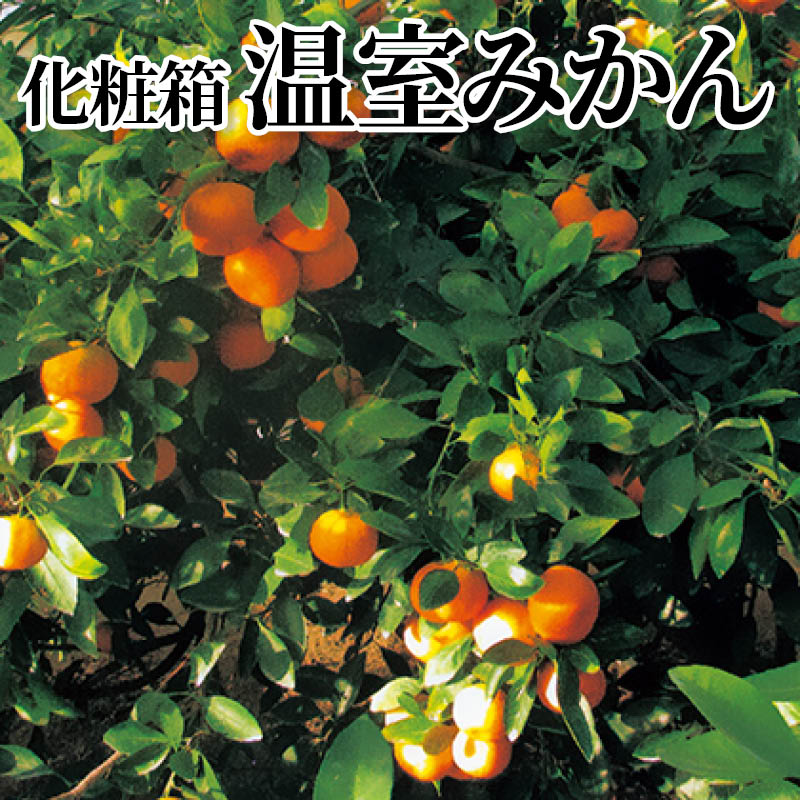 まごころ込めて育てた温室みかんをお楽しみください。【商品提供者コメント】 ●商品名／化粧箱温室みかん ●名称／みかん ●商品内容／2.7kg(S〜L：21〜32個)　 ※サイズは商品提供者にお任せください。単一サイズでお届けします。 ●原産...