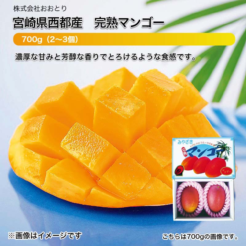 宮崎県で太陽の恵みを十分に受け、樹上で完熟し自然落果したマンゴー。濃厚な甘みととろける食感をお楽しみください。【商品提供者コメント】●商品内容／700g（2〜3個）●原産地／宮崎県西都市　※個数・サイズ指定のご注文はお受けできません。　【キ...