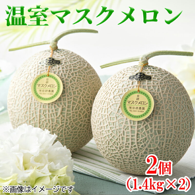 渥美半島で育まれたまろやかな味のマスクメロンです。1個ずつ丹精込めて作りました。是非、お召し上がりください。【商品提供者コメント】 ●名称／メロン ●商品内容／1.4kg×2　 ●原産地＝愛知県産 【キャンセルについて】 ●お申し込み後のキ...