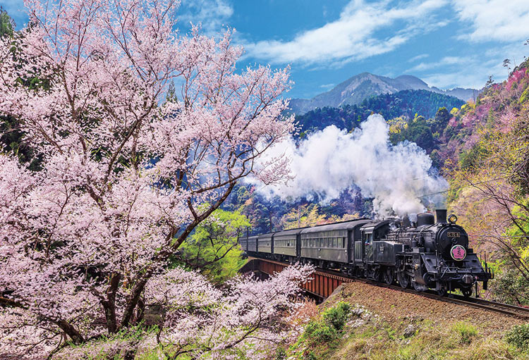 商品名大井川鐡道と桜 ピース数1000 ピースサイズ通常ピースサイズ サイズ49×72cm 品 番BEV-1000-137 メーカービバリー 商品説明ジグソーパズルで楽しめる全国屈指の桜の名所 春の大井川沿いののどかな風景を走る蒸気機関車(...