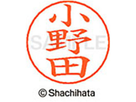 【商品説明】ネームペンのネーム印を交換したい場合にご使用ください。【仕様】●オノダ●印面サイズ：直径9mm●書体：楷書体●インキ色：朱色●カートリッジ式●対応補充インキ：XLR−GP●透明プラケース入り●GPNエコ商品ねっと掲載【備考】※メ...