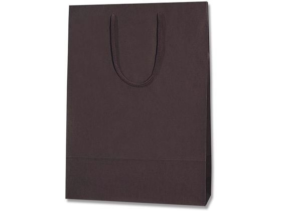 【商品説明】落ちついたカラー無地。手紐も同色系でコーディネートしました。口ボール・底ボール付　手紐：アクリル紐【仕様】●サイズ：幅330×マチ100×高450mm●材質：未晒クラフト紙120g●注文単位：1セット（10枚）【備考】※メーカー...