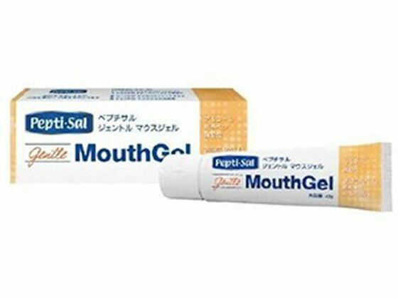 【商品説明】お口にやさしい低刺激性の口内ジェルデリケートなお口を包み込んで守る【仕様】●内容量：42g●成分【成分】グリセリン、ポリエチレングリコール、キシリトール、ヒドロキシエチルセルロース、精製水、アロエベラ液汁、クエン酸、クエン酸Na...