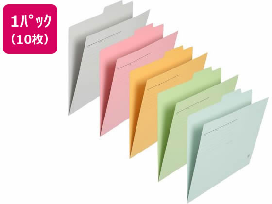 【商品説明】●見出しとカラーで分類しておけば、必要な書類をサッと取り出せる●書類や伝票整理に便利なファスナーとあわせてお使い頂ければ、書類に穴を開けてファイルすることもできます●所属・活用期間・項目などの書き込み欄が付いています【仕様】●カ...