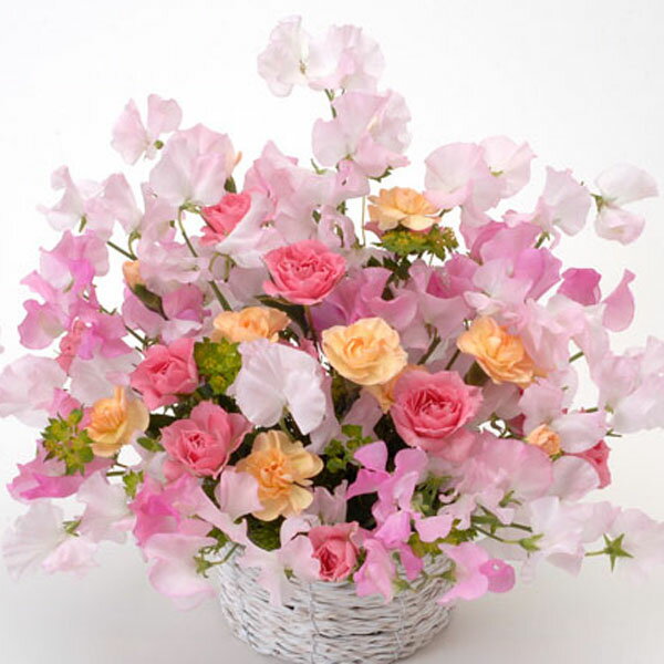 ☆---　商品情報　---☆ ■商品名（品番） ガーネットハーティー（EH-002) ■サイズ・形式 約H30×W45×D25cm アレンジ ■商品紹介 ピンク系のパステルカラーアレンジです。イメージでは、スイートピーやスプレーバラ、スプレ...