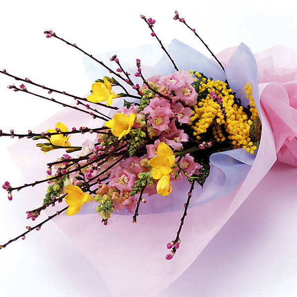 ☆---　商品情報　---☆ ■商品名（品番） おひな祭りの花束（ES-026) ■サイズ・形式 約L80　W30 ■商品紹介 桃の節句、おひな祭りならではの花束です♪桃のお花を飾ってお子様の成長を御祝い下さい！ ■ご注意事項 1.掲載写真...