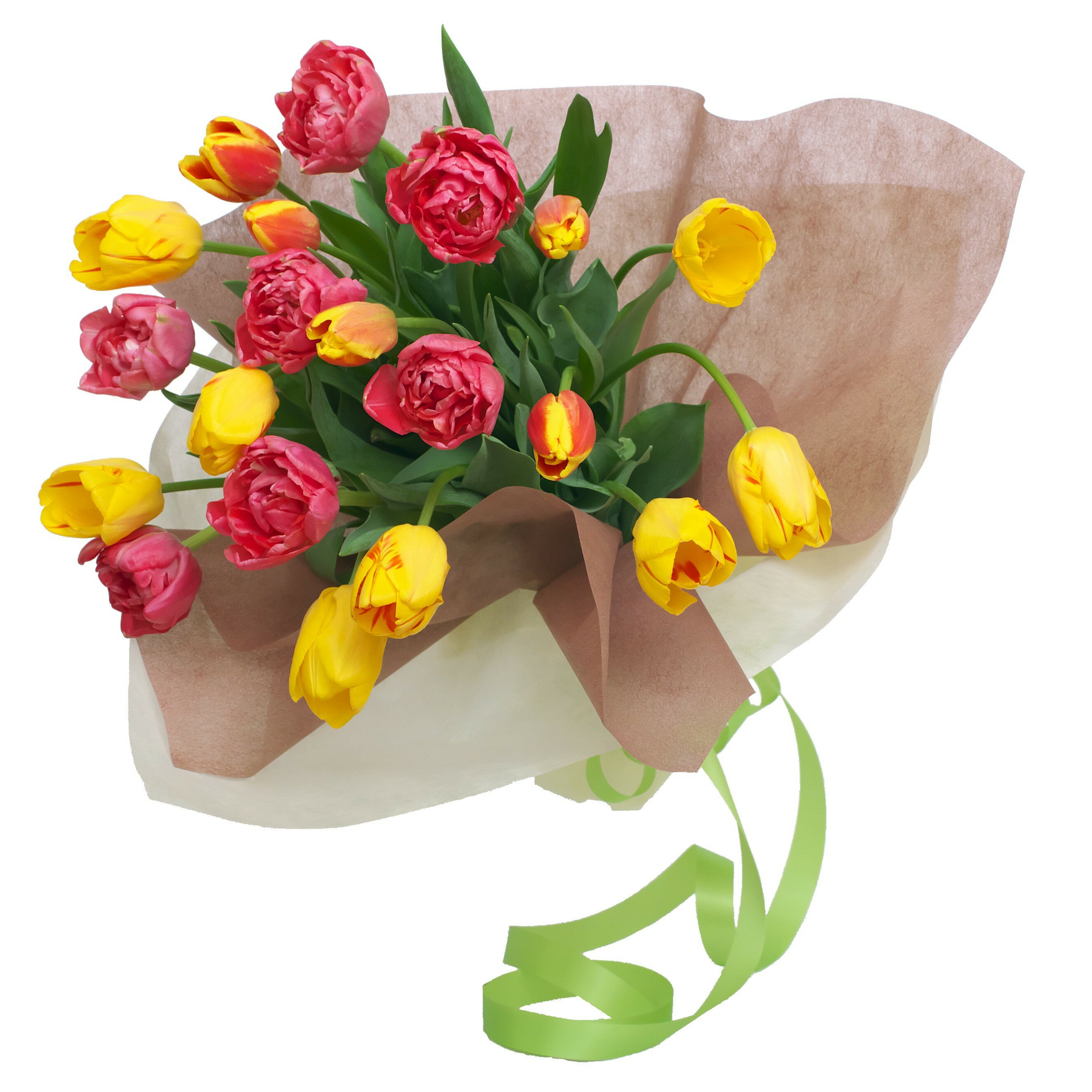 ギフト対応 ☆---　商品情報　---☆ ■商品名（品番） ジャストチューリップ（EH-024) ■サイズ・形式 約L50×W42 花束 ■商品紹介 チューリップの花束♪明るく元気が出る雰囲気の花束です。 ■ご注意事項 1.掲載写真はイメー...