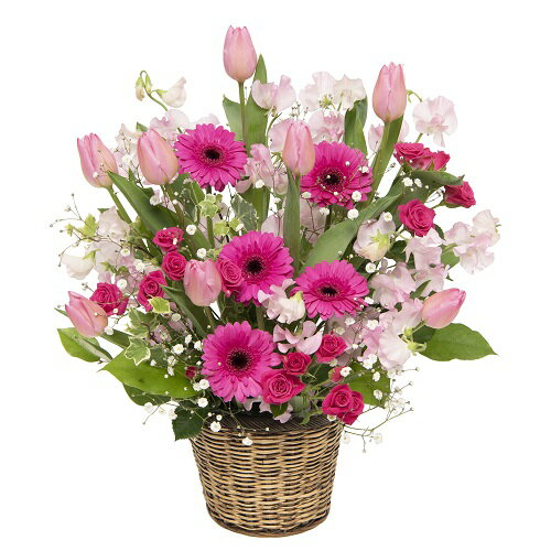 ☆---　商品情報　---☆ ■商品名（品番） メルヘン（EH-026) ■サイズ・形式 約H53　約W43　約D33　アレンジ ■商品紹介 春爛漫！ポップでキュートな春のアレンジ♪春らしい色合いが溢れるカワイイアレンジです。合格祝や卒業・...