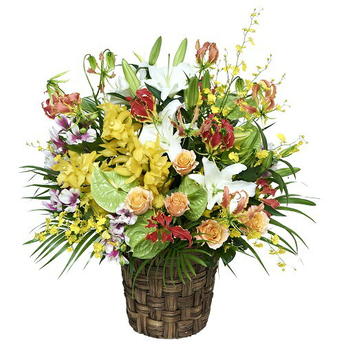 ギフト対応 ☆---　商品情報　---☆ ■商品名（品番） ヴァネッサ（OW-006) ■サイズ・形式 約H80×W70×D40　アレンジ ■商品紹介 蘭、ユリやバラ等でお作りする華やかなアレンジです。開店お祝いや発表会等のイベントへのギフ...