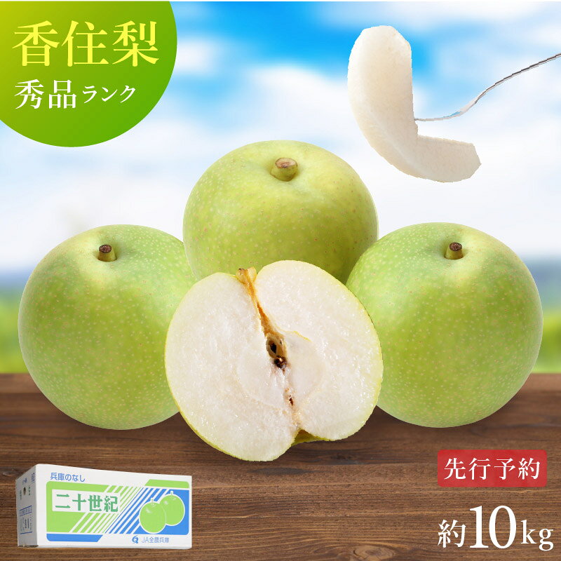 香美町特産の梨「二十世紀」！生産者が愛情たっぷりに育て、玉太りも味も自信のある梨が今年もできました。ジューシーさとシャリ感、しつこくないさっぱりとした上品な甘みが特長です。 センサーで糖度を測っているので、安心してお買い求めいただけます！ ...