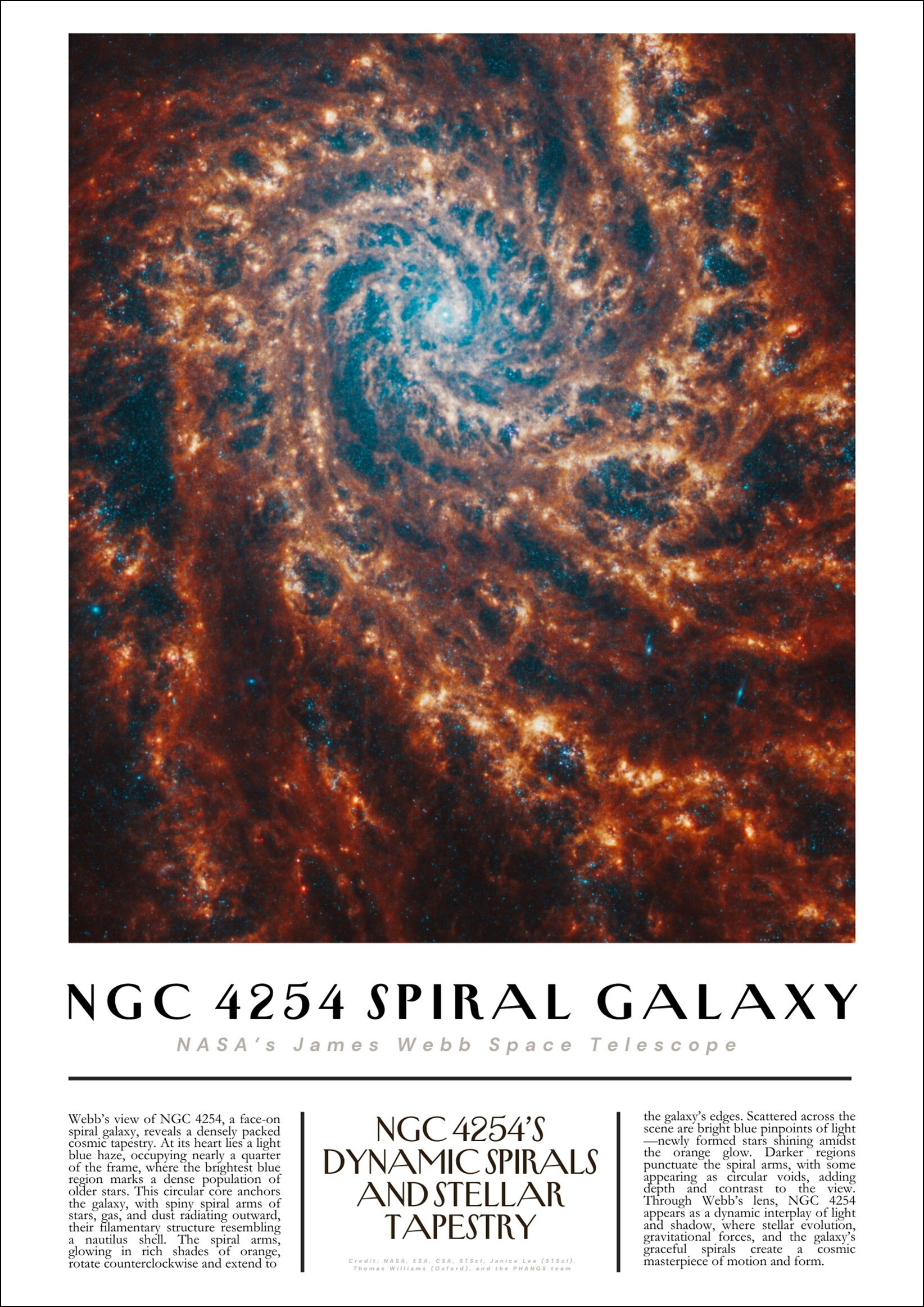 【商品の特長】国内で製造されており、用紙と印刷品質にこだわったポスターです。ハガキほどの厚みがあるマット紙を使用しており、しっかりとした手触りと美しい発色が魅力です。 【印刷技法・仕上がり】高精細なジークレー印刷により、色鮮やかで豊かな階調...