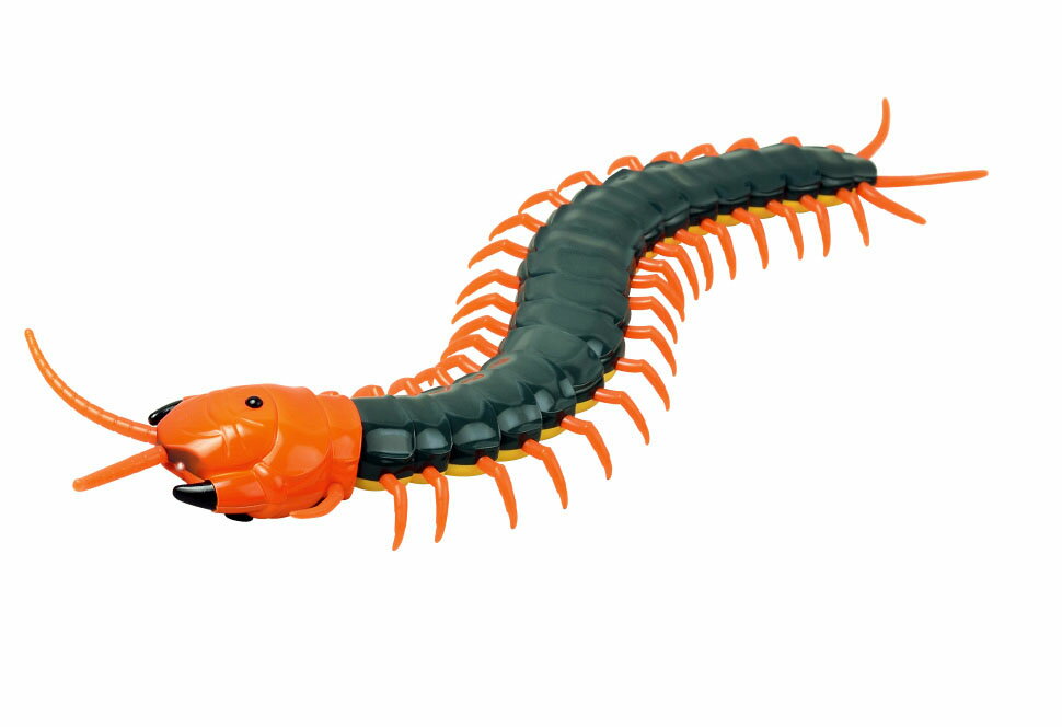 【返品種別B】□「返品種別」について詳しくはこちら□2021年12月 発売※画像はイメージです。実際の商品とは異なる場合がございます。【商品紹介】童友社　赤外線RC 昆虫シリーズ ムカデです。ムカデは動きも本物さながら、くねくね進む仕様で前...