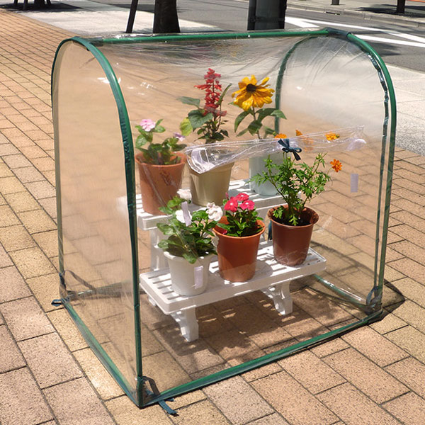 【返品種別B】□「返品種別」について詳しくはこちら□◆場所を取らず狭い場所にも設置できるコンパクトサイズ。◆60cmのフラワースタンドがラクラク入ります。■　仕　様　■サイズ(約)：幅70cm×奥行50cm×高さ70cm材質・・・　ジョイン...