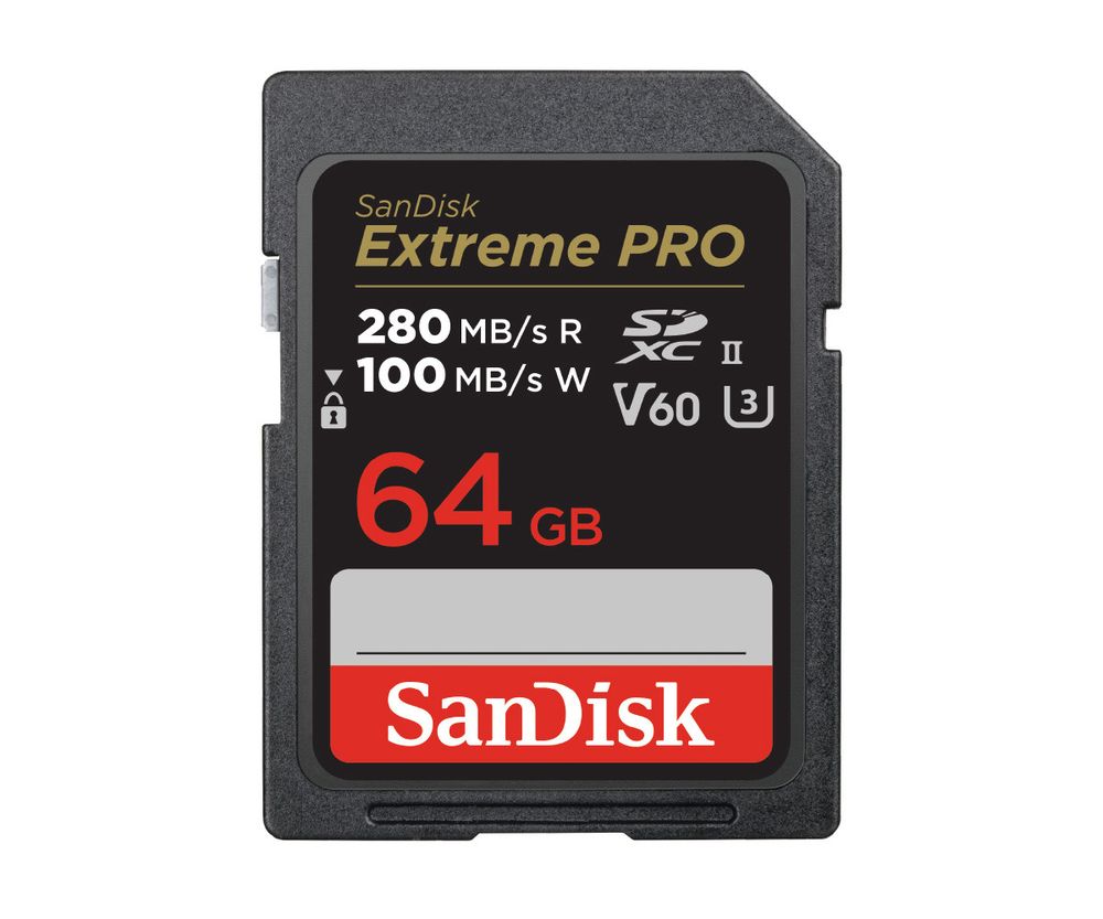 【返品種別A】□「返品種別」について詳しくはこちら□「おひとり様1点まで」2023年06月 発売メーカー保証期間 無期限■SanDisk製品「商品に関する各お問い合わせ・不良判断」サンディスク・カスタマーセンター 　0120-89-3009...