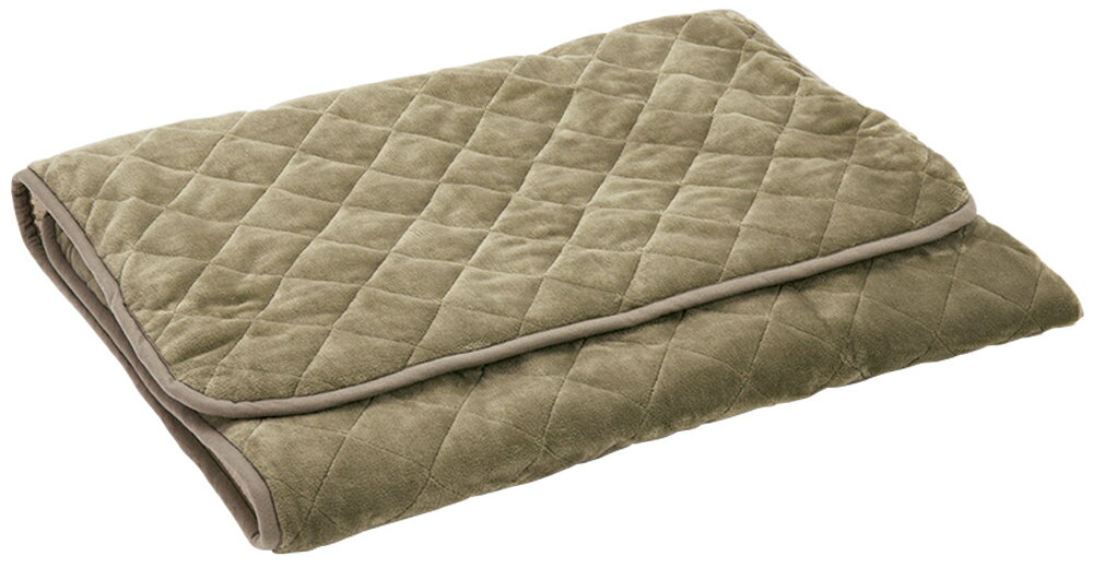 【返品種別A】□「返品種別」について詳しくはこちら□2022年09月 発売メーカー保証期間 1年◆ダニよけ＋消臭のW機能◆クラスアップ◆スライド調節◆本体丸洗い◆ダニ退治◆電子式制御◆室温センサー◆ふかふか◆ヒーター一体型となります。■　仕...