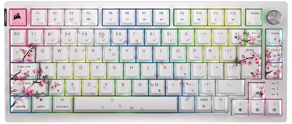 【返品種別A】□「返品種別」について詳しくはこちら□2024年08月 発売メーカー保証期間 2年【ご購入後のお問い合わせにつきまして】CORSAIR製品に関するご質問、不具合等につきましては国内代理店である株式会社プリンストンへお問い合わせ...