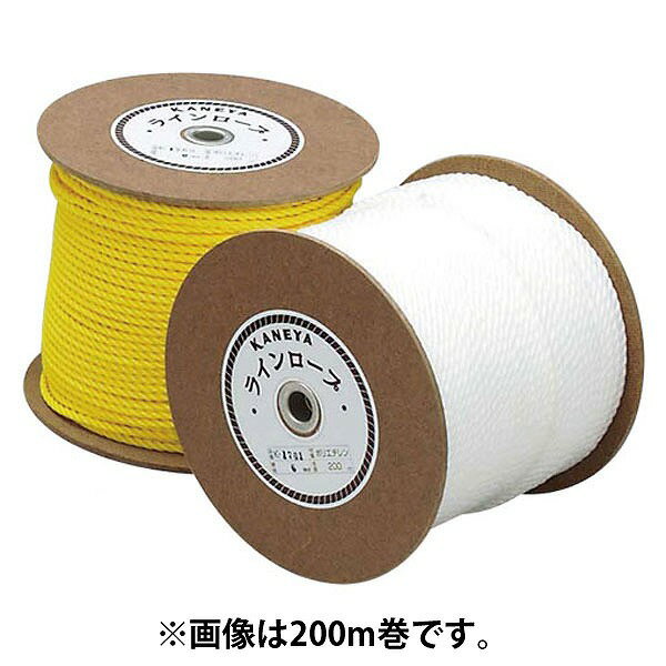 【返品種別A】□「返品種別」について詳しくはこちら□※画像はイメージです。※この商品は ラインロープ 300m（ホワイト） です。◆ボビン巻きの300mラインロープです。■　仕　様　■サイズ：直径3mm×300m[ZZZK19071100]...