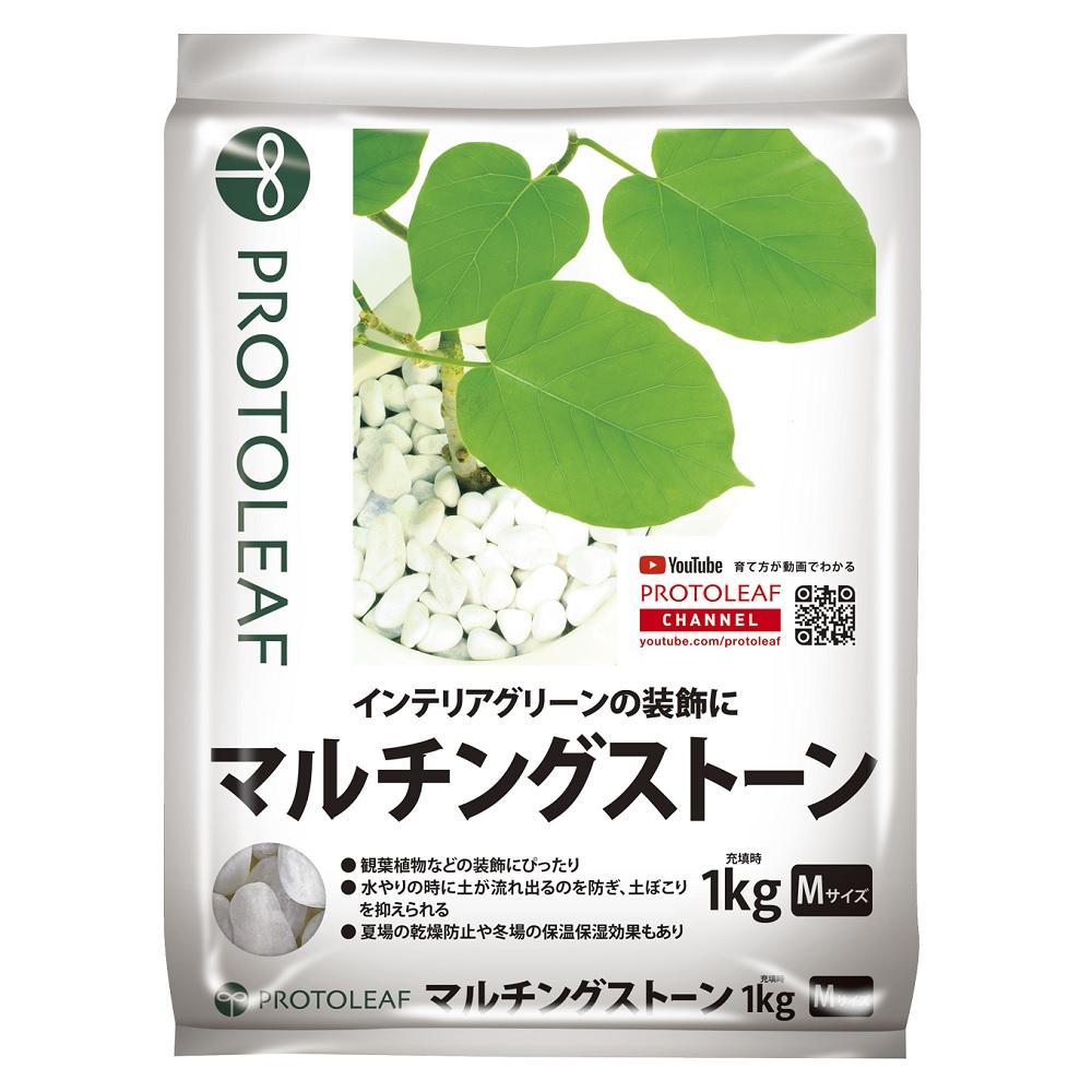 【返品種別A】□「返品種別」について詳しくはこちら□※仕様及び外観は改良のため予告なく変更される場合がありますので、最新情報はメーカーページ等にてご確認ください。◆観葉植物の装飾に。清潔感のある白。■原料：玉砂利プロトリーフ広告文責：株式会...