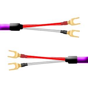 【返品種別A】□「返品種別」について詳しくはこちら□2008年08月 発売『INNOVA TS7』はハイスピード・ハイレスポンスを追求した新設計のスピーカーケーブル導体にPCOCC、絶縁体（内部シース）には誘電率に優れたLDPEを採用。高精...