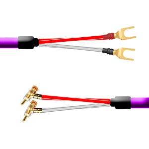 【返品種別A】□「返品種別」について詳しくはこちら□2008年08月 発売『INNOVA TS7』はハイスピード・ハイレスポンスを追求した新設計のスピーカーケーブル導体にPCOCC、絶縁体（内部シース）には誘電率に優れたLDPEを採用。高精...