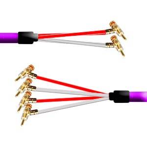 【返品種別A】□「返品種別」について詳しくはこちら□2008年08月 発売『INNOVA TS7』はハイスピード・ハイレスポンスを追求した新設計のスピーカーケーブル導体にPCOCC、絶縁体（内部シース）には誘電率に優れたLDPEを採用。高精...