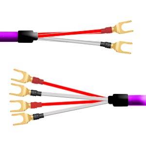 【返品種別A】□「返品種別」について詳しくはこちら□2008年08月 発売『INNOVA TS7』はハイスピード・ハイレスポンスを追求した新設計のスピーカーケーブル導体にPCOCC、絶縁体（内部シース）には誘電率に優れたLDPEを採用。高精...