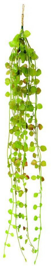 【返品種別A】□「返品種別」について詳しくはこちら□※壁掛けループの仕様は、生産時期によって異なります。予めご了承ください。※カメラやモニターの性質により、画像と実物の色の違いがある場合がございますのでご理解願います。◆光触媒加工を施した、...