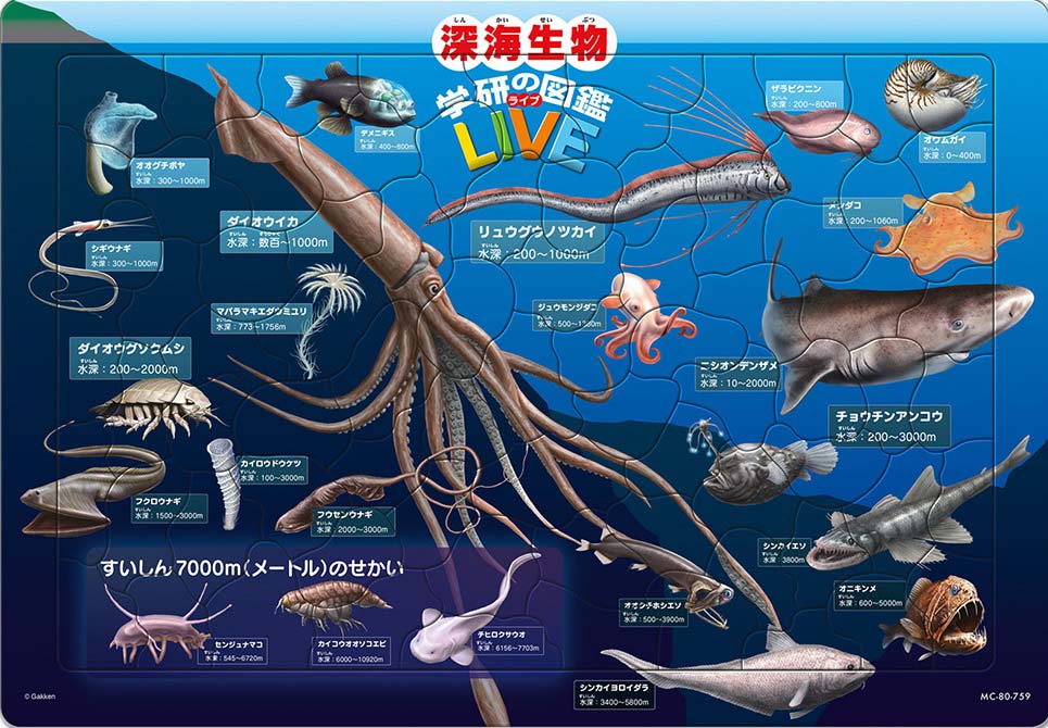 【返品種別B】□「返品種別」について詳しくはこちら□※画像はイメージです。実際の商品とは異なる場合がございます。※同一と思われるお客様より大量のご注文をいただいた場合、ご注文をお取り消しとさせていただく場合がございます。【商品紹介】深海生物...