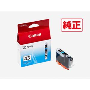 【返品種別A】□「返品種別」について詳しくはこちら□2012年11月 発売■　仕　様　■カラー：シアン対応機種：PIXUS PRO-100S、PIXUS PRO-100[BCI43C]パソコン周辺＞プリンターインク・トナーカートリッジ＞キヤノン