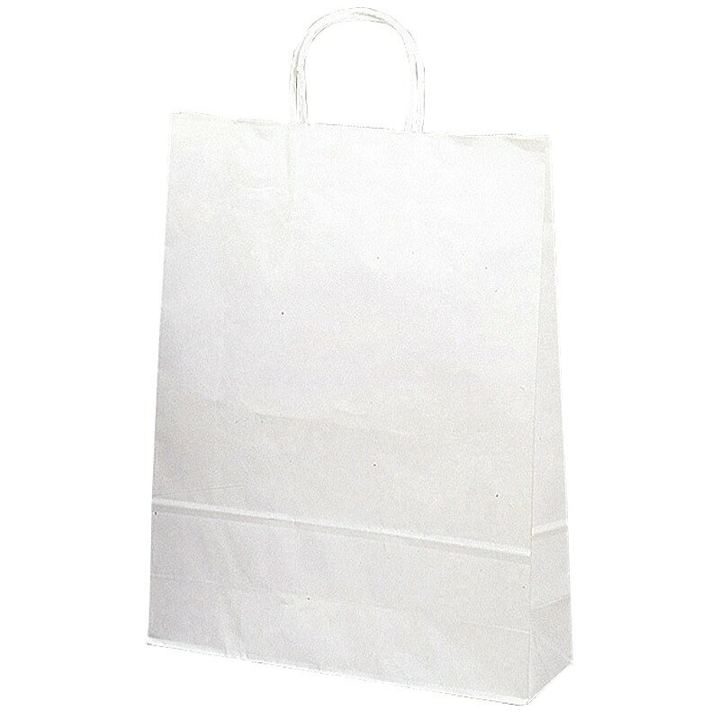 【返品種別A】□「返品種別」について詳しくはこちら□◆あらゆるシーンに使用できる最もベーシックな無地のシンプル手提げ袋（紙袋）です。◆B4サイズのものを入れるのに最適で、幅広いギフトシーンにお使いいただける商品です。◆表面に艶のある片艶晒ク...