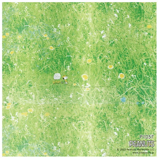 【返品種別A】□「返品種別」について詳しくはこちら□※こちらの商品は1枚毎の販売となります。両開きでのご使用の場合は2枚ご注文ください。※洗濯時の注意事項：アジャスターフックをすべて取り外し、洗濯ネットをご使用ください。また、ドラム式洗濯機...