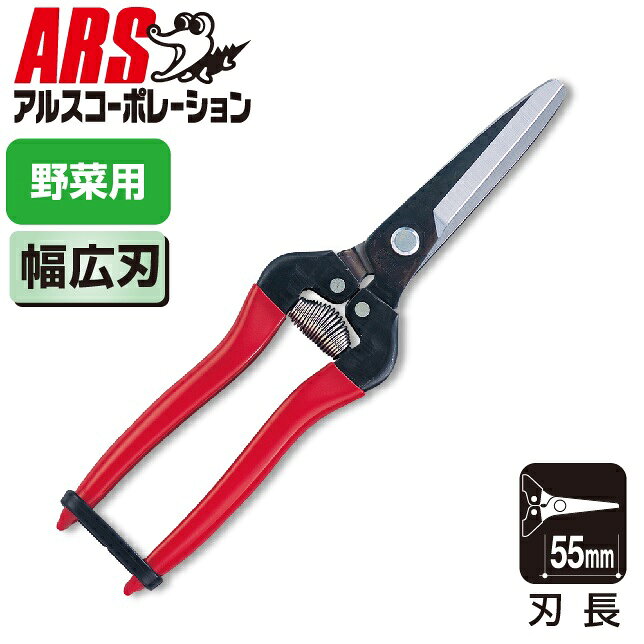 【返品種別B】□「返品種別」について詳しくはこちら□【こちらの製品につきまして】ご購入後の初期不良・不具合・修理などのアフターサポートにつきましては、下記窓口にご連絡ください。［アルスコーポレーションお問い合わせ先］電話番号：0120-83...