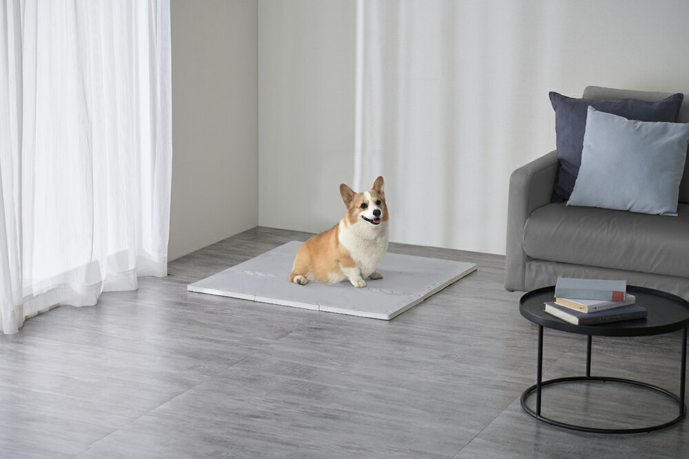 【返品種別A】□「返品種別」について詳しくはこちら□※塩化ビニル系床材の上で使用する際は、床とマットの間に敷物や防護シートを敷いてご使用ください。※白色系の床材は色移りすることがございますので、ご使用はお控えください。【こちらのアイリス製品...