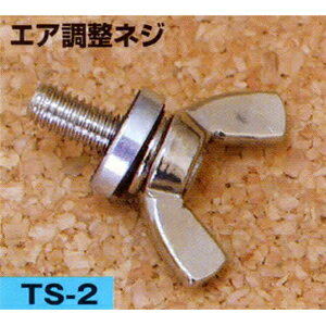 【返品種別A】□「返品種別」について詳しくはこちら□「おひとり様1点まで」◆ガソリン携帯缶 YG用のエア調整ネジです。[TS2ヤザワ]矢澤産業アウトドア＞カー用品＞カーアクセサリー＞カーメンテナンス用品＞メンテナンス用品＞その他メンテナンス用品