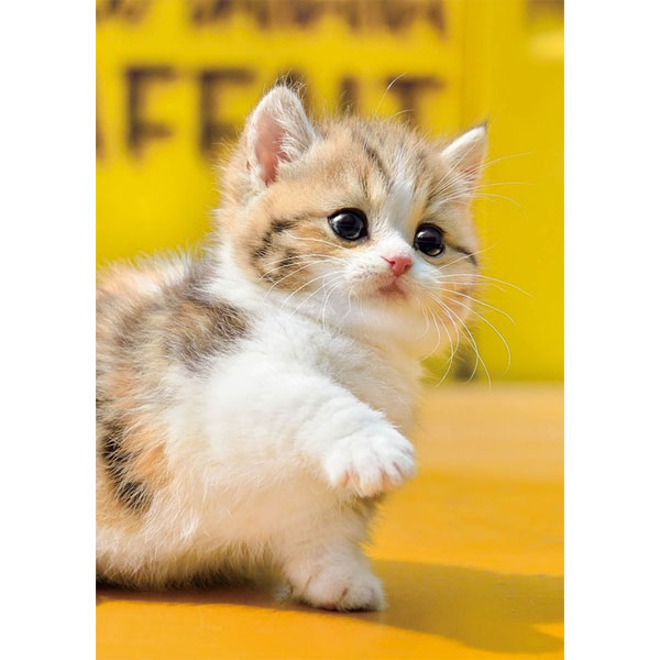 【返品種別B】□「返品種別」について詳しくはこちら□2018年06月 発売※画像はイメージです。実際の商品とは異なる場合がございます。※同一と思われるお客様より大量のご注文をいただいた場合、ご注文をお取り消しとさせていただく場合がございます...