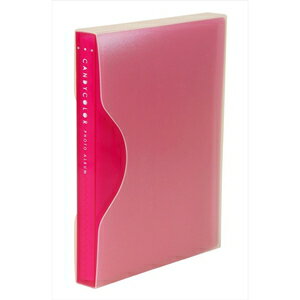 【返品種別A】□「返品種別」について詳しくはこちら□2013年10月 発売カジュアルなポケットアルバムシリーズ◆カラフルでクリアなPPを表紙に使用◆プリントを出し入れしやすいエンボス入白台紙◆ライン入りクリアカラーPP表紙■　仕　様　■サイ...