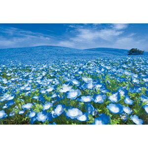 【返品種別B】□「返品種別」について詳しくはこちら□2020年03月 発売※画像はイメージです。実際の商品とは異なる場合がございます。※本商品にパネル・エンブレムは含まれません。※同一と思われるお客様より大量のご注文をいただいた場合、ご注文...
