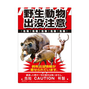 【返品種別B】□「返品種別」について詳しくはこちら□◆超軽量、超柔軟で取付簡単。◆色鮮やかで高い訴求力抜群。◆ヒモで、ガンタッカーやホチキスで、結束バンドで、画鋲で、磁石で！　取付方いろいろ。◆長時間使用しても、柔軟性が持続し、安全です。◆...
