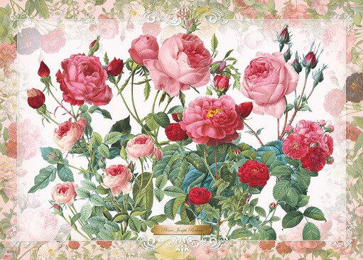 【返品種別B】□「返品種別」について詳しくはこちら□2022年02月 発売※画像はイメージです。実際の商品とは異なる場合がございます。※同一と思われるお客様より大量のご注文をいただいた場合、ご注文をお取り消しとさせていただく場合がございます...