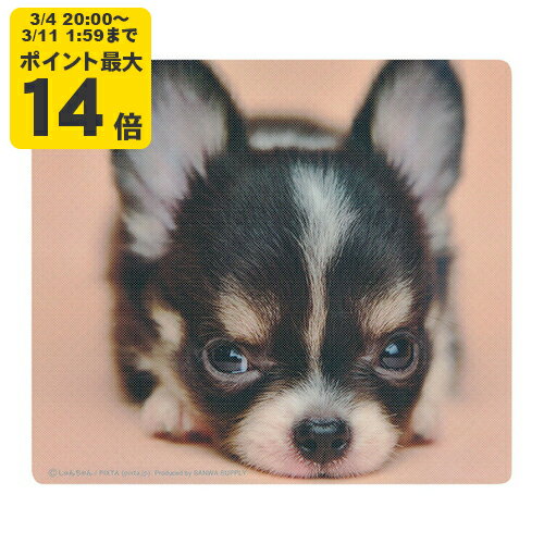 商品概要 品番MPD-215CJANコード4969887248768商品仕様■サイズ：W170×D150×H0.6mm■材質：表面/再生PET（ポリエチレンテレフタレート）裏面/低粘着ドット加工■写真品種説明：品種名/チワワ原産/中北米大陸...